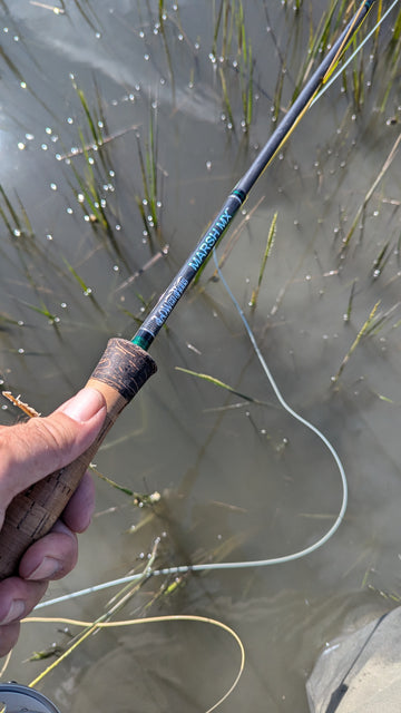 MARSH MX 8wt Saltwater Fly Rod – Best for Redfish & Flats Fishing ...